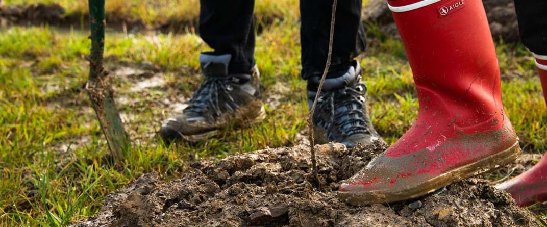 Young People’s Forest, Mead - The Forest of Biologists